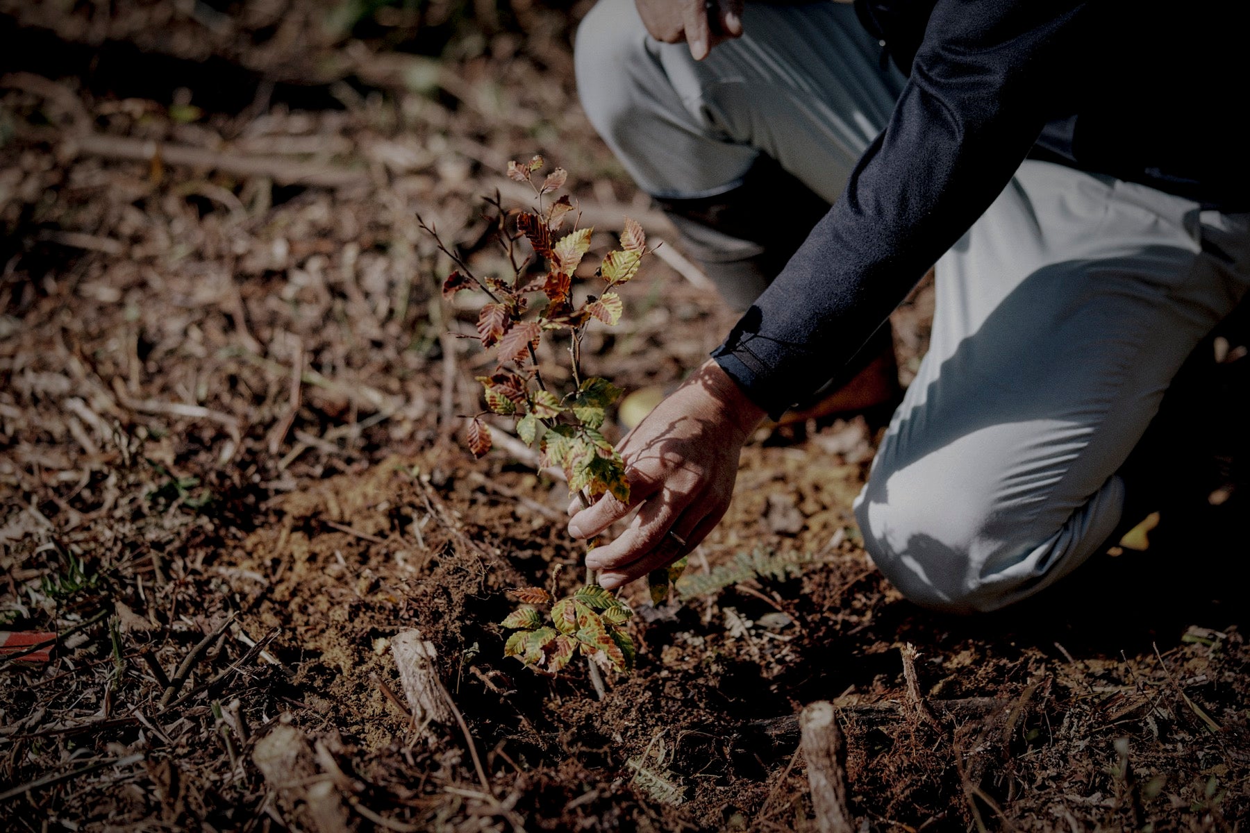 ABOUT US | Earthring-aroma